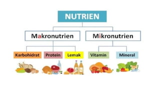 KULIAH I-BIOLOGI REPRODUKSI & GENETIKA DASAR.pdf