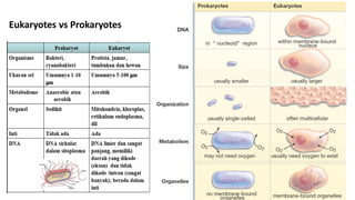 KULIAH I-BIOLOGI REPRODUKSI & GENETIKA DASAR.pdf