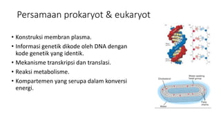 KULIAH I-BIOLOGI REPRODUKSI & GENETIKA DASAR.pdf