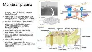 KULIAH I-BIOLOGI REPRODUKSI & GENETIKA DASAR.pdf