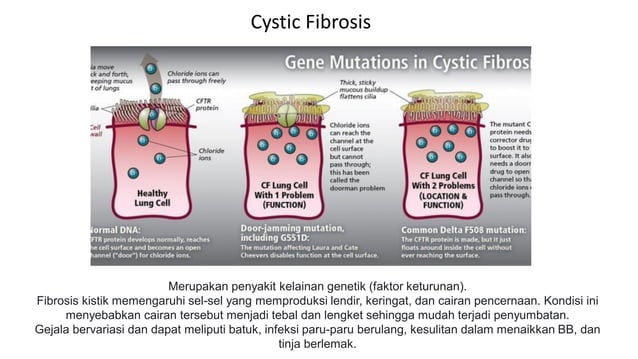 KULIAH I-BIOLOGI REPRODUKSI & GENETIKA DASAR.pdf