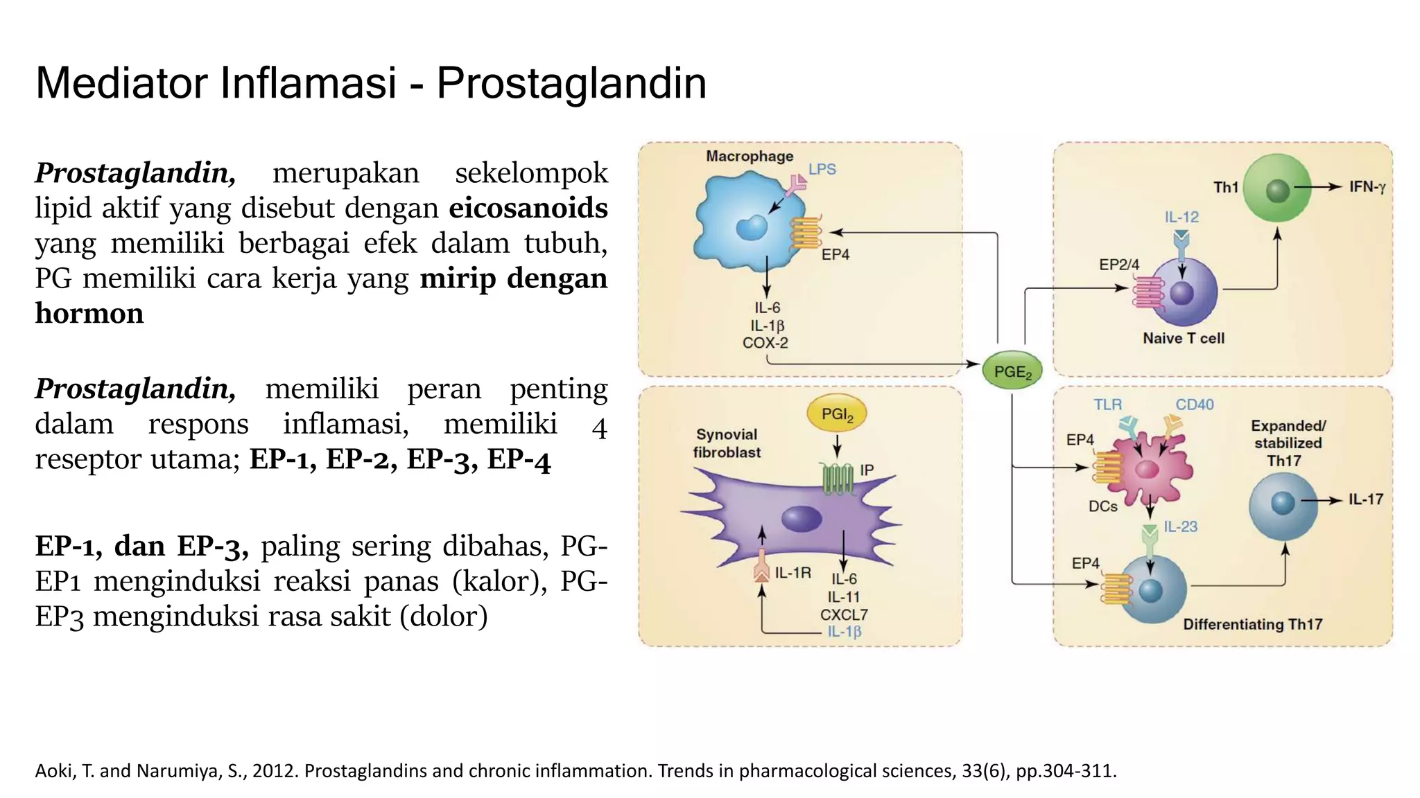 Kuliah Inflamasi.pptx
