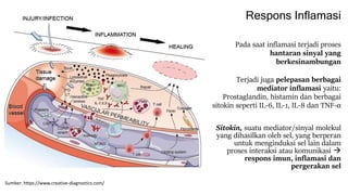 Kuliah Inflamasi.pptx
