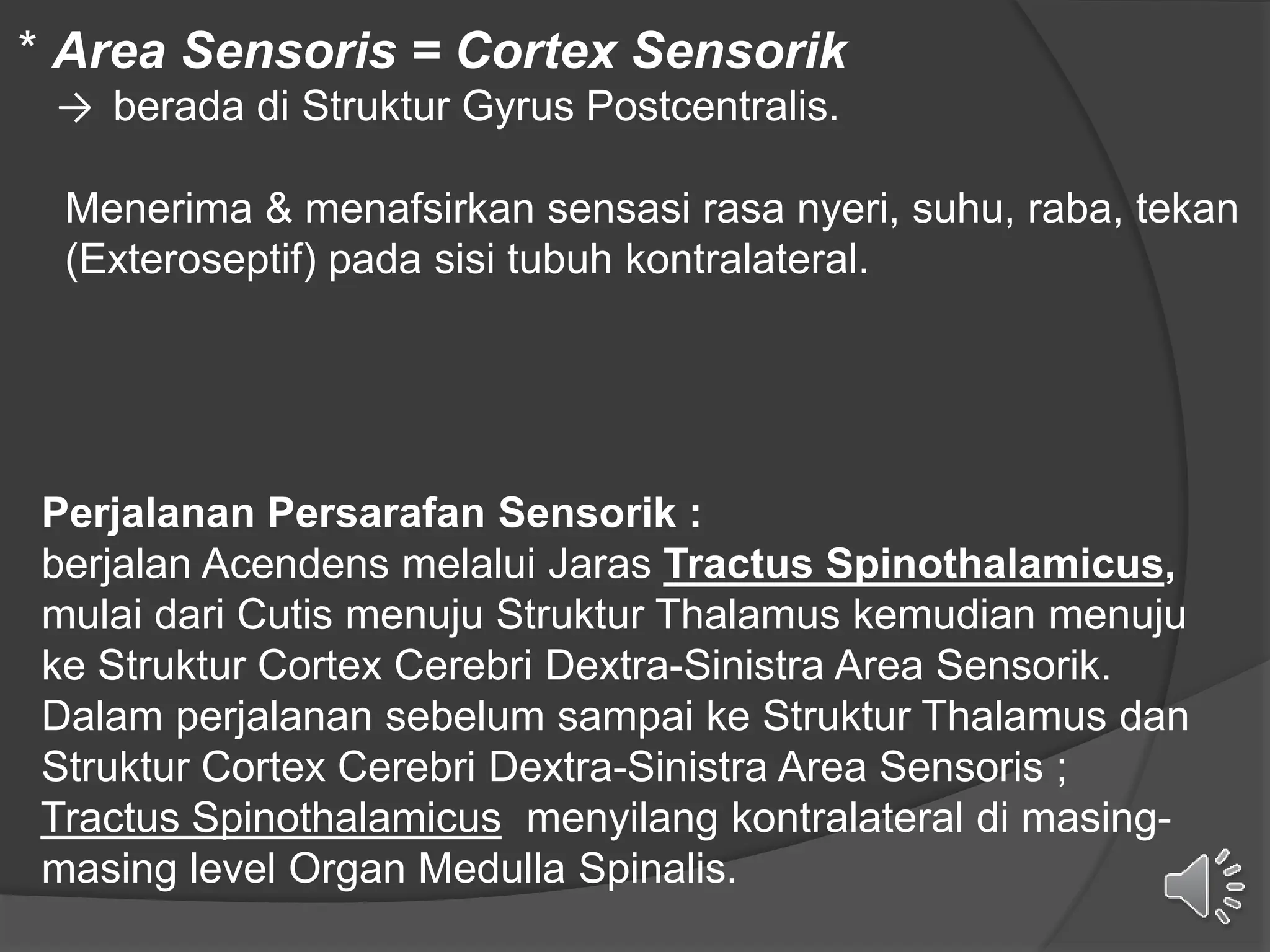 Kuliah ke 2 Anatomi Blok Neurology - Anatomy Systemic of the Central ...