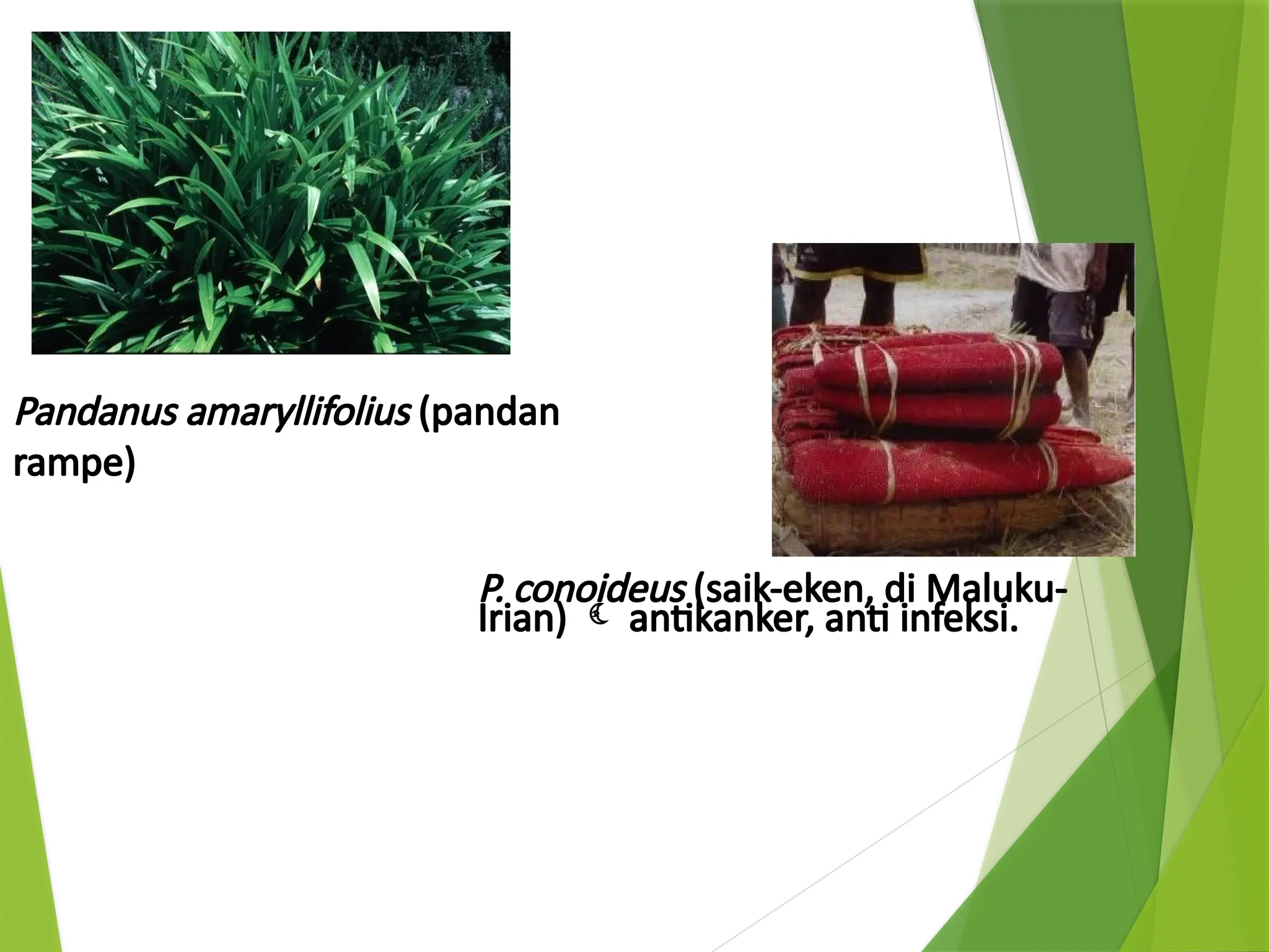 materi kuliah bahan alam. silahkan di baca | PPTX