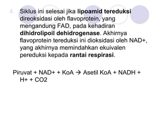Materi KULIAH_METABOLISME KARBOHIDRAT.ppt