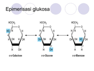 Materi KULIAH_METABOLISME KARBOHIDRAT.ppt