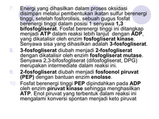 Materi KULIAH_METABOLISME KARBOHIDRAT.ppt