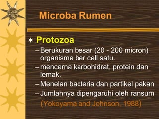 Kuliah_mikroba_rumen.ppt
