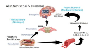 Pain Physiology, Slide and Preview for superficial knowledge | PPT