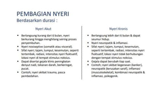 Pain Physiology, Slide and Preview for superficial knowledge | PPT