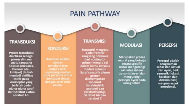 Pain Physiology, Slide and Preview for superficial knowledge | PPT