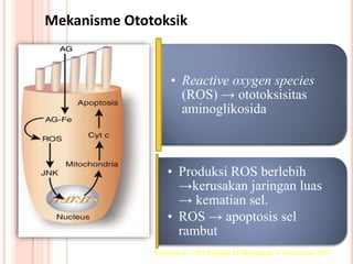 ototoksisitas | PPTX