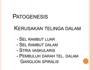ototoksisitas | PPTX