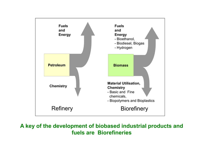 bIOREFINERY CONCEPT.pptx | Chemistry | Science