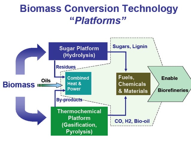 bIOREFINERY CONCEPT.pptx | Chemistry | Science