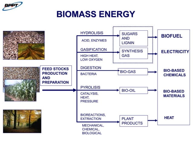 bIOREFINERY CONCEPT.pptx | Chemistry | Science