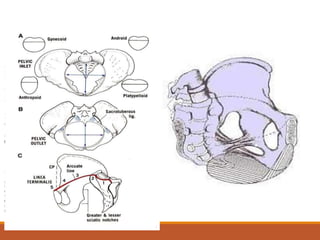 Kuliah penyegaran parturition, 7 cardinal movements, pelvimetri | PPTX