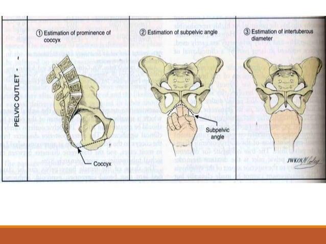 Kuliah penyegaran parturition, 7 cardinal movements, pelvimetri | PPT