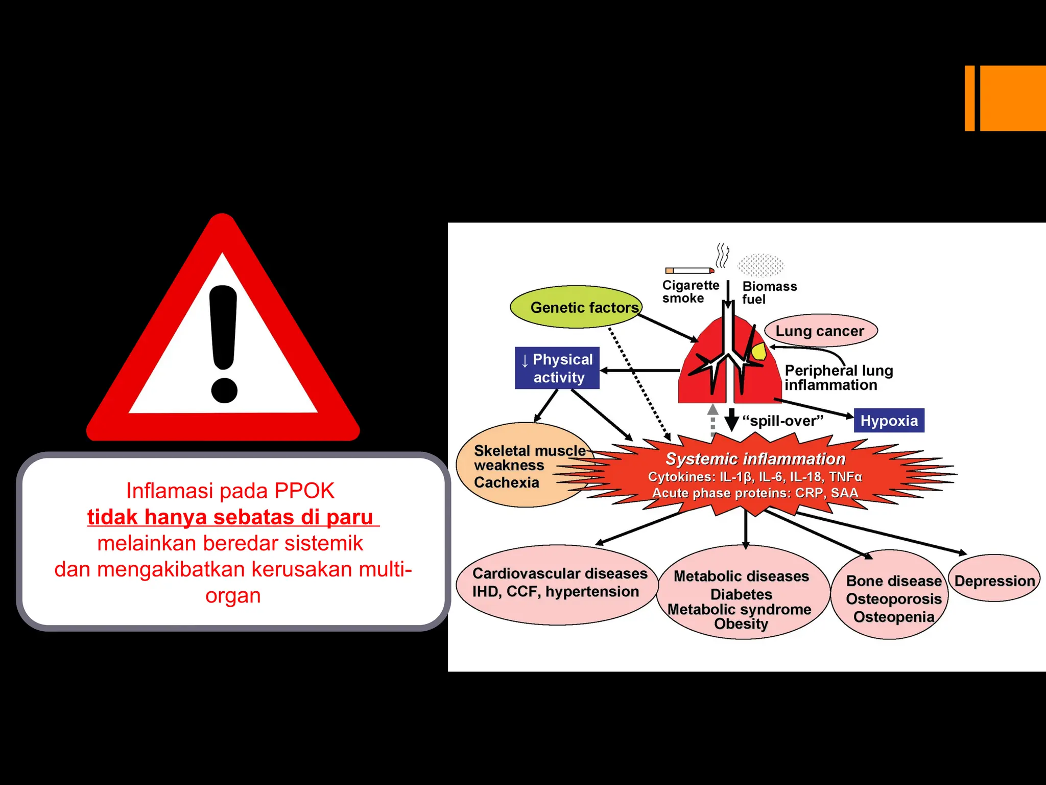 Penyakit Paru Obstruktif Kronik (PPOK).pptx