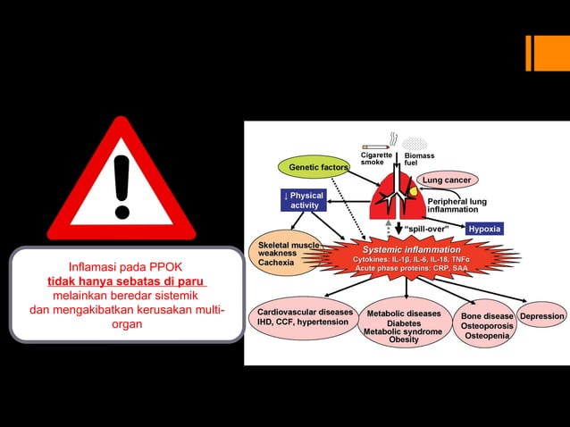Penyakit Paru Obstruktif Kronik (PPOK).pptx