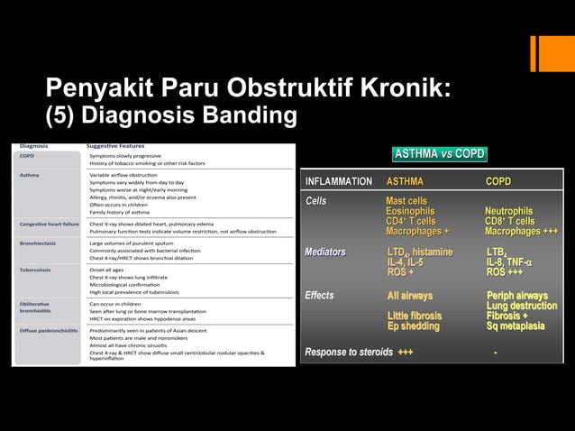 Penyakit Paru Obstruktif Kronik (PPOK).pptx