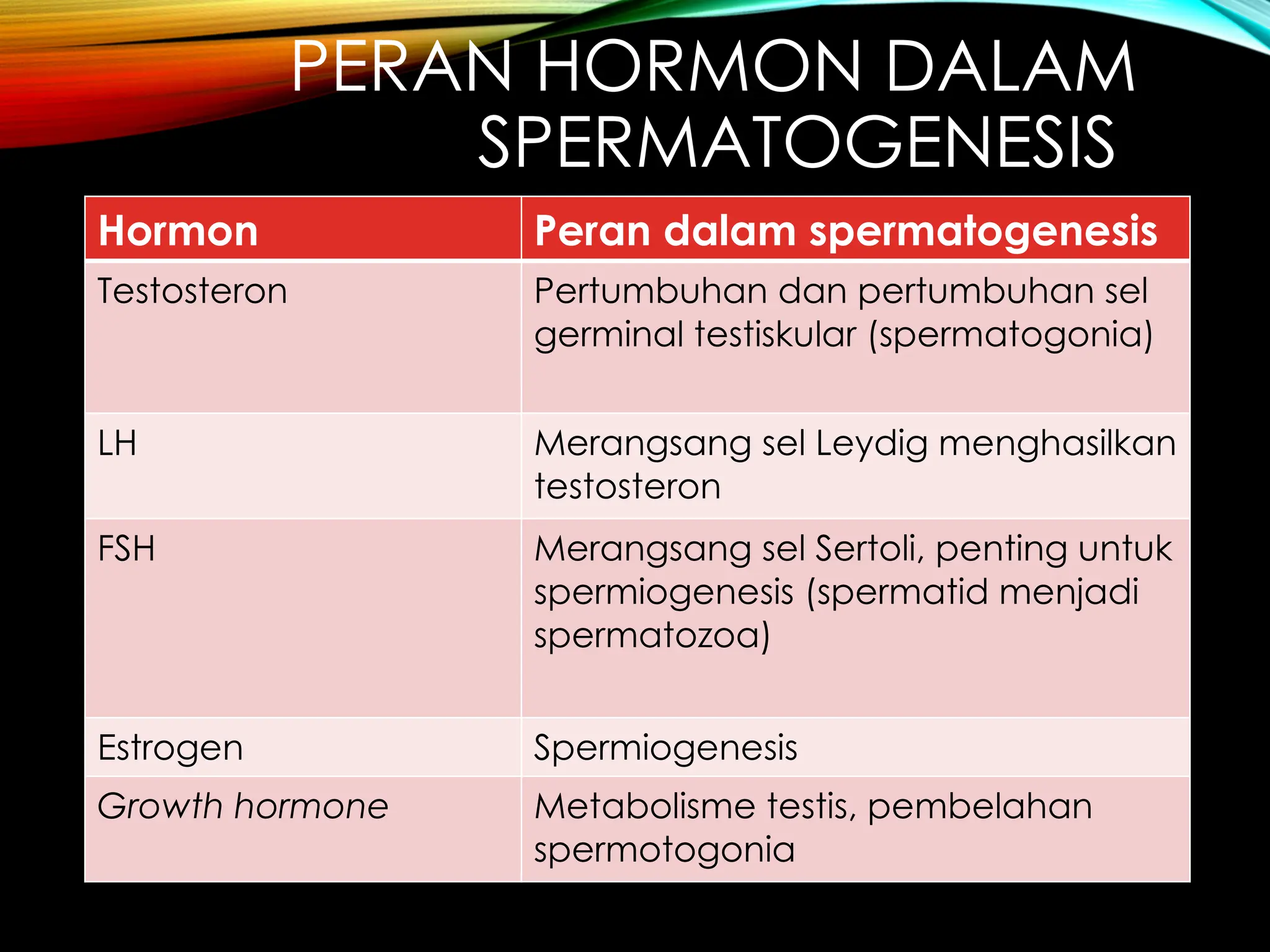 Kuliah reproduksi laki-laki hormon spermatogenesis.pptx