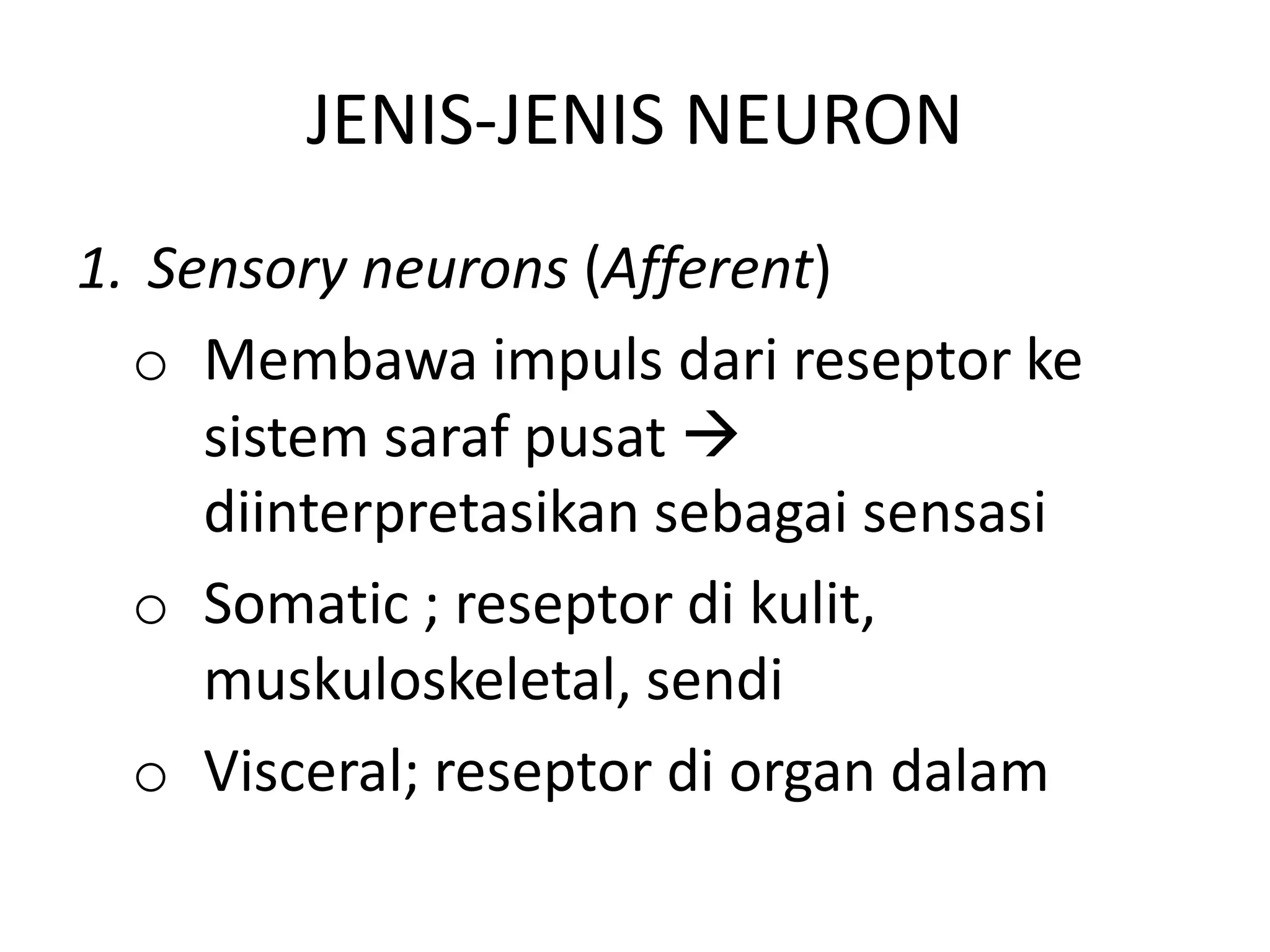 Kuliah Sistem Saraf Manusia.pdf
