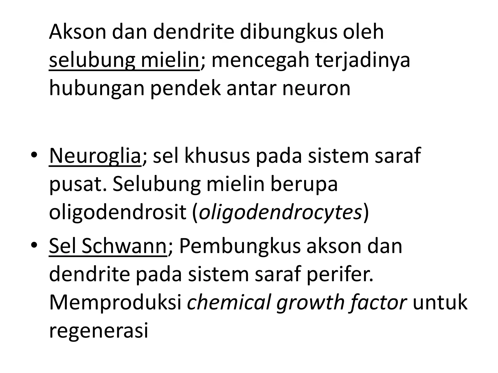 Kuliah Sistem Saraf Manusia.pdf