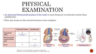 KULIAH SUBUH TORSIO TESTIS.pptx