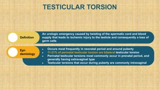 KULIAH SUBUH TORSIO TESTIS.pptx