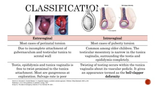 KULIAH SUBUH TORSIO TESTIS.pptx