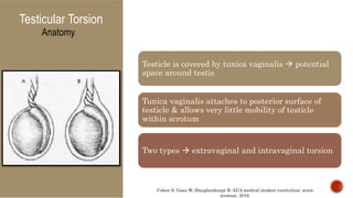 KULIAH SUBUH TORSIO TESTIS.pptx