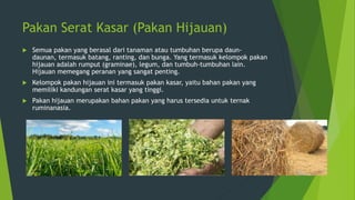 KULIAH TEKNOLOGI PAKAN TERNAK DAN IKAN.pptx