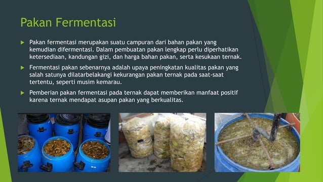 KULIAH TEKNOLOGI PAKAN TERNAK DAN IKAN.pptx