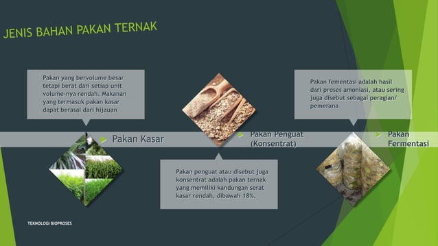 KULIAH TEKNOLOGI PAKAN TERNAK DAN IKAN.pptx