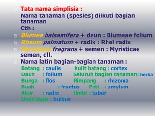 Kul ii simplisia | PPT