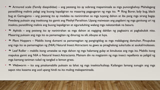 POWERPOINT SA Kulisap at Peste! Puksain Na!.pptx