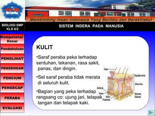 Kulit | PPT