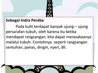 Powerpoint Materi tentang Kulit Kelas 8 Semester 2 | PPT