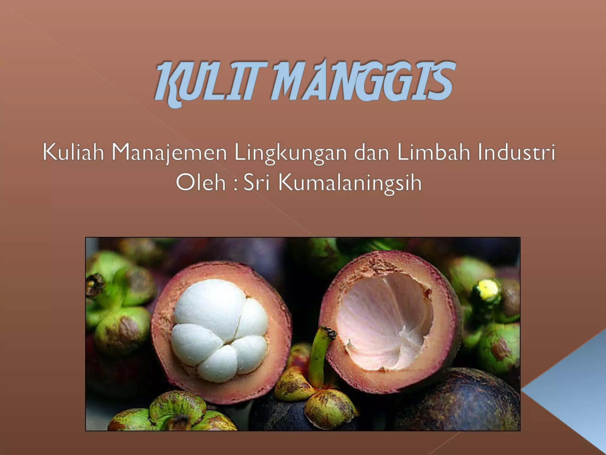 Manajemen limbah semseter 1(Kulit manggis) | PPT