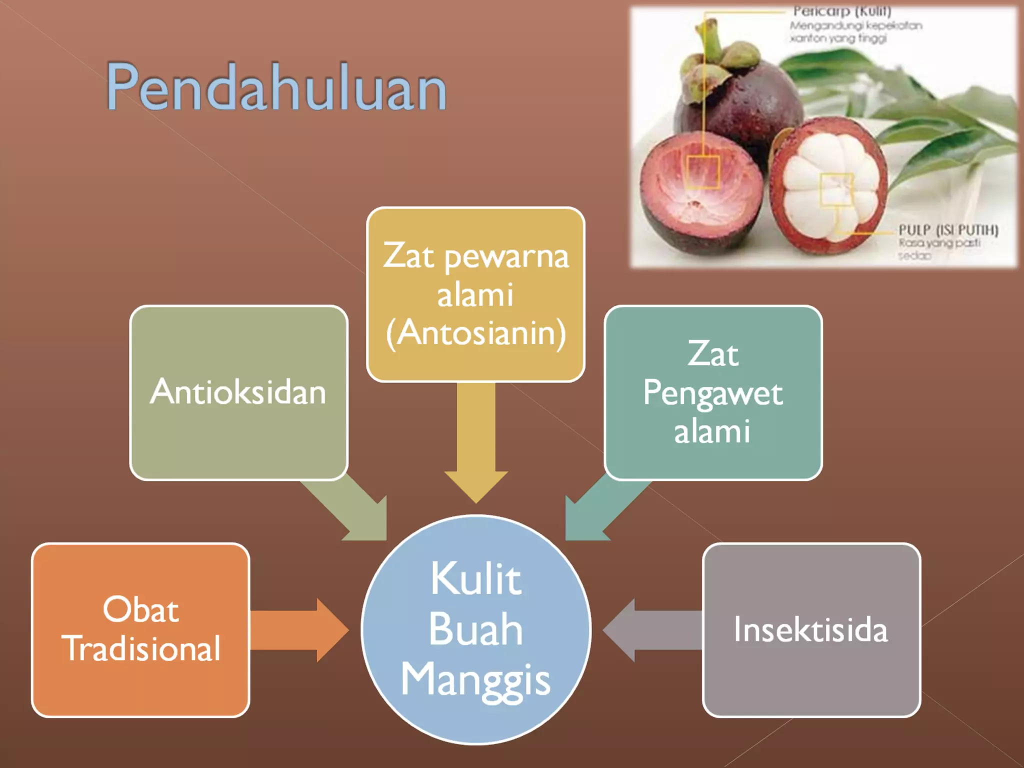 Manajemen limbah semseter 1(Kulit manggis) | PPT