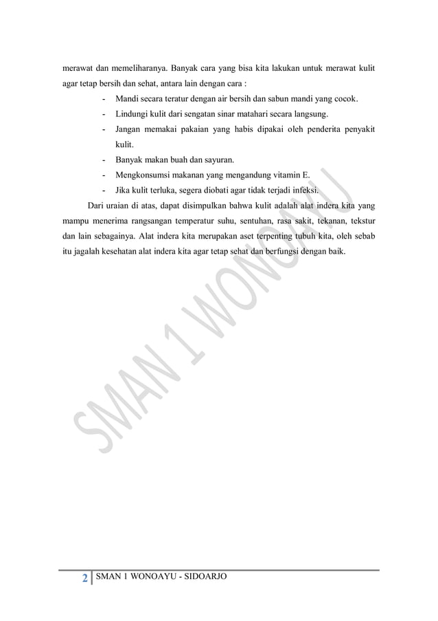 Kulit sebagai indera peraba manusia | PDF