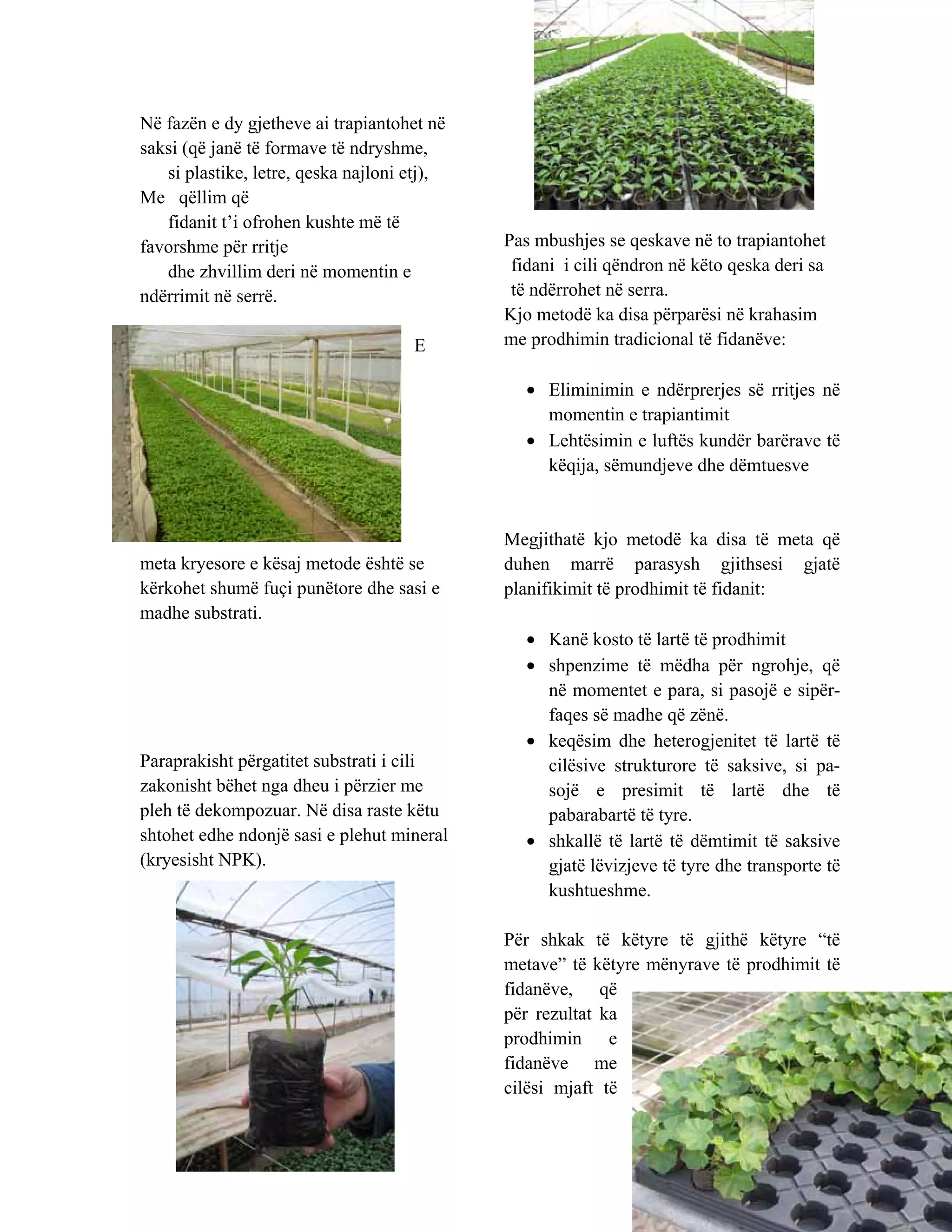 Kultivimi i bimeve perimore ne mjedise te mbrojtura | PDF