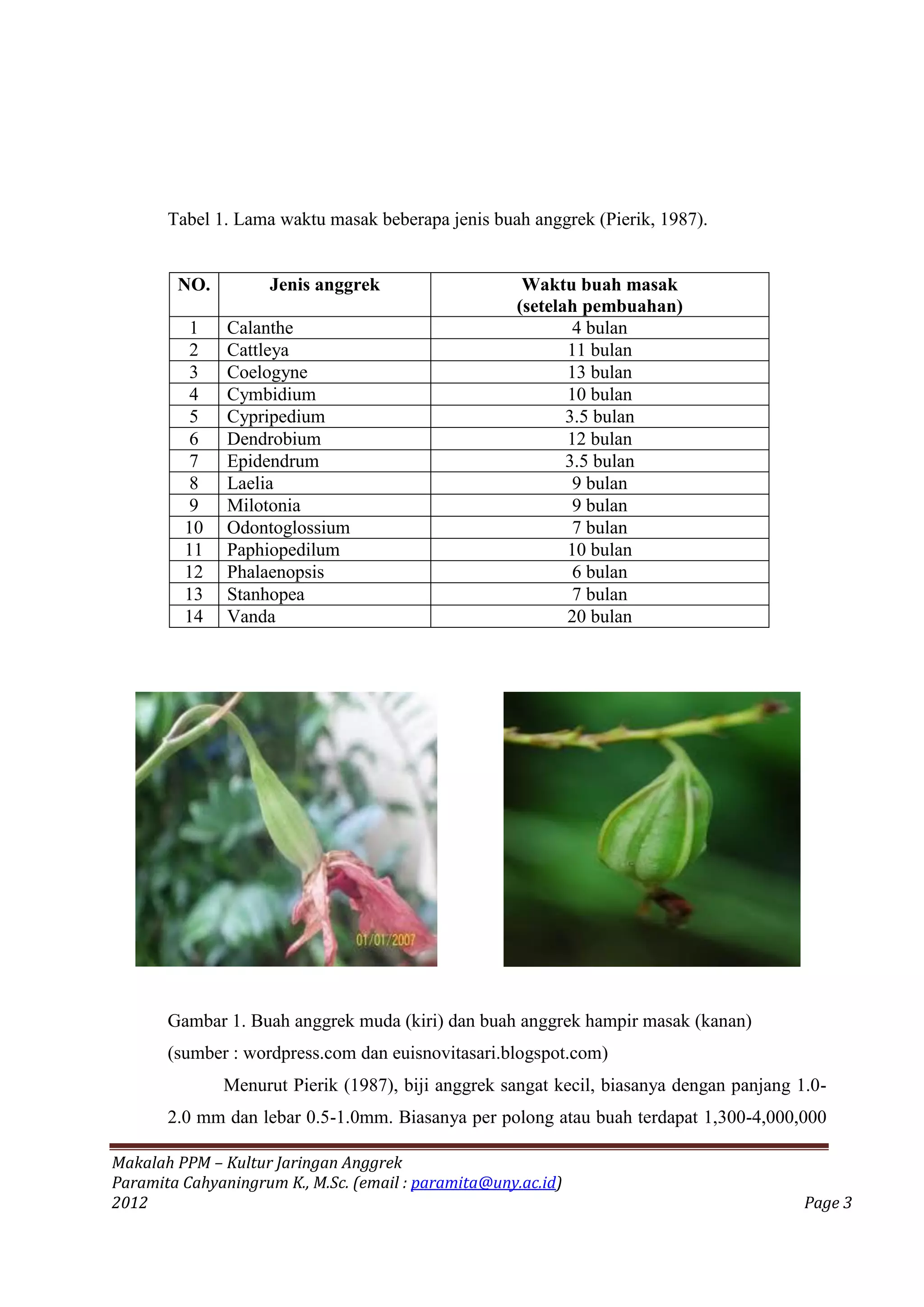 Kultur jaringan-anggrek-makalh-ppm | PDF