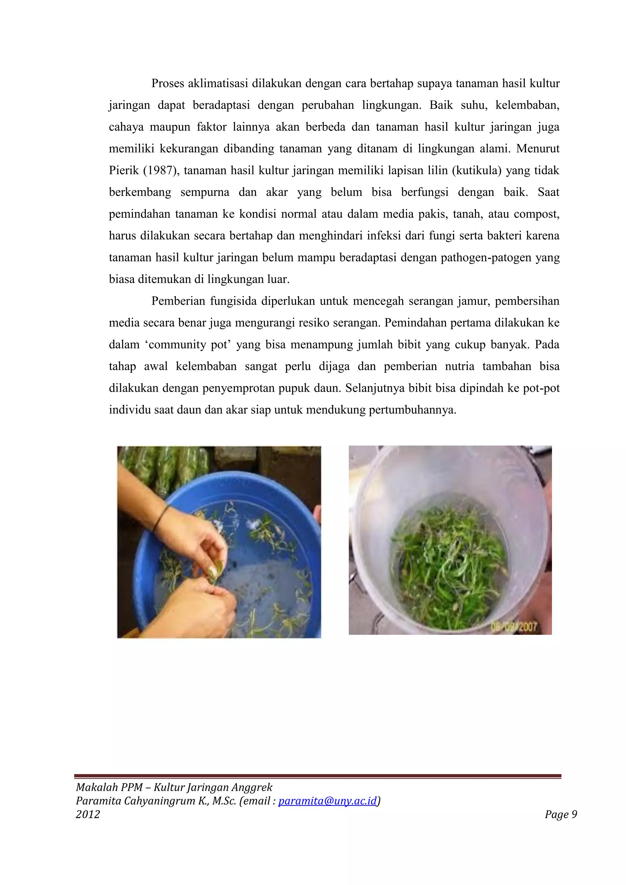Kultur jaringan-anggrek-makalh-ppm | PDF