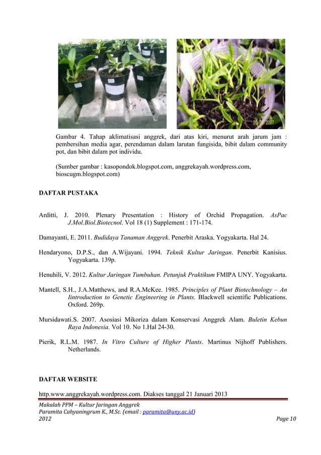 Kultur jaringan-anggrek-makalh-ppm | PDF