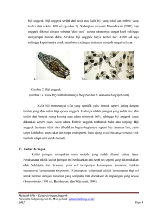 Kultur jaringan-anggrek-makalh-ppm | PDF
