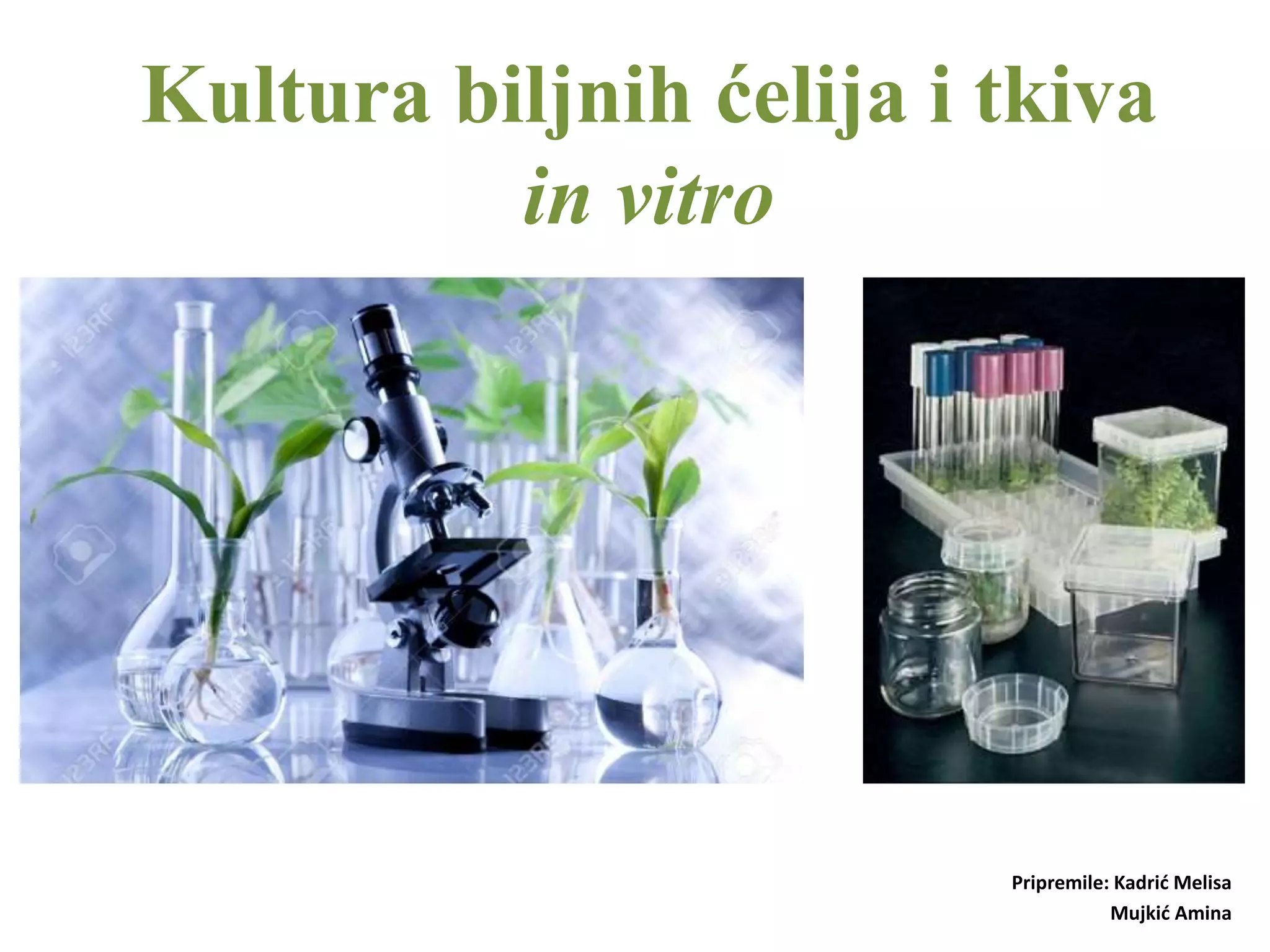 Kultura biljnih celija i tkiva | PPTX