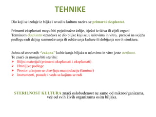 Kultura biljnih celija i tkiva | PPTX